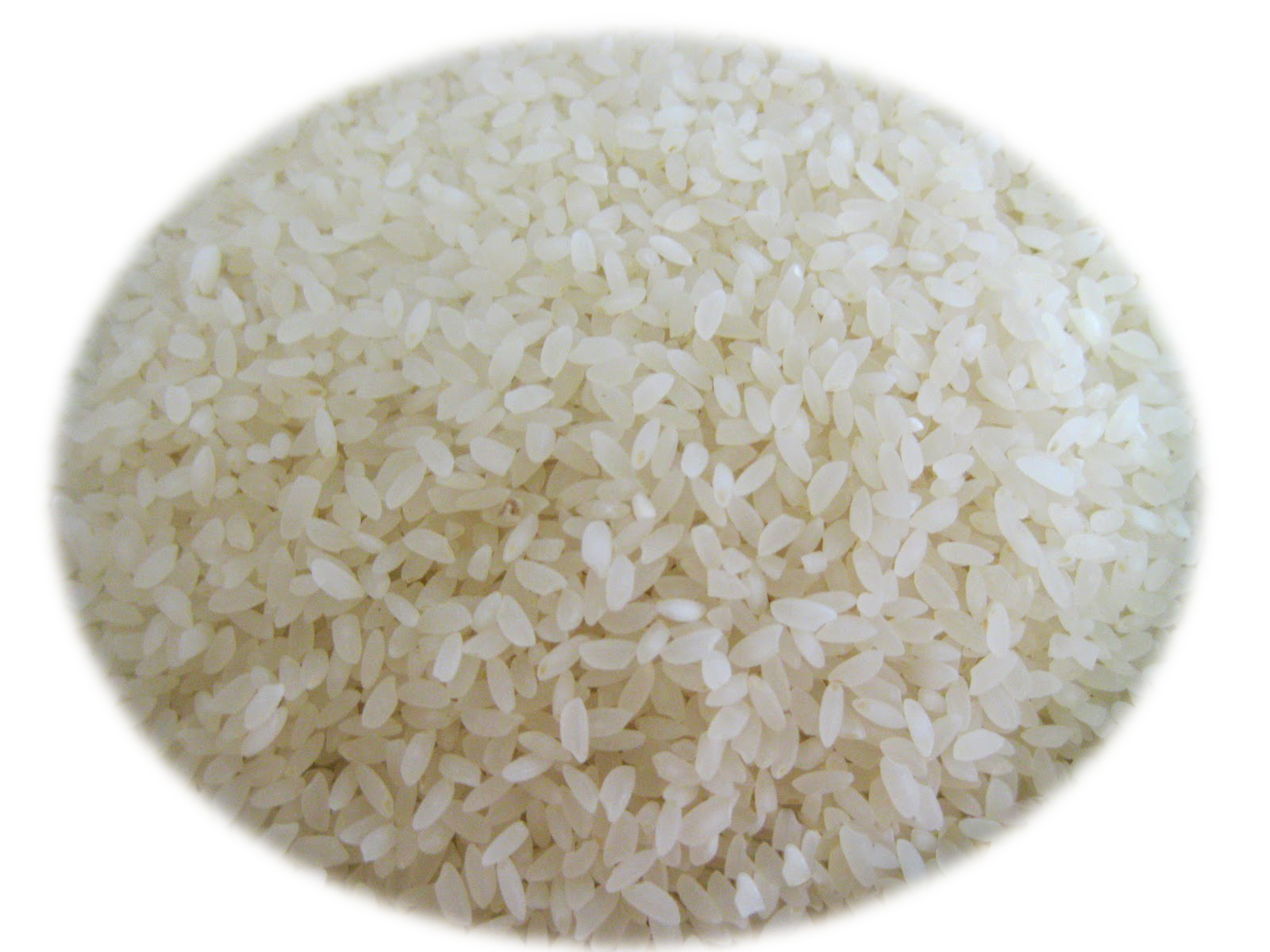 Shanti Bhog – Premium Quality Rice